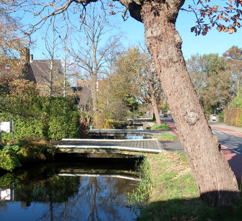 Stommeerweg 80 jaar geleden | mantelpower